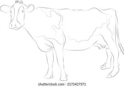 Simple Hand Drawn Cow Isolated Vector Stock Vector (Royalty Free ...