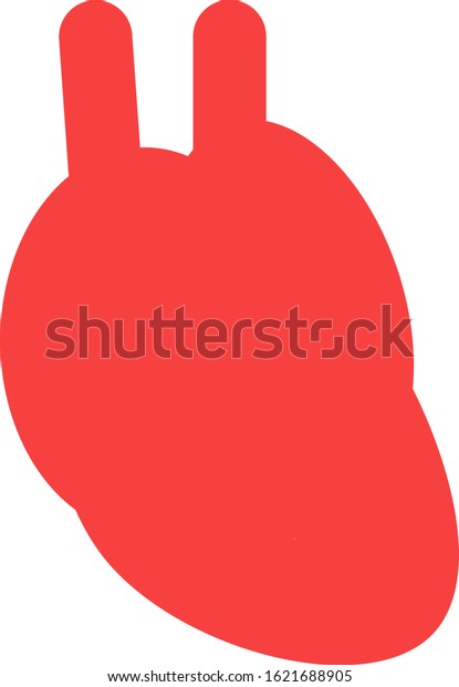 Simple Heart Illustration Internal Organs Cardiovascular Stock Vector ...
