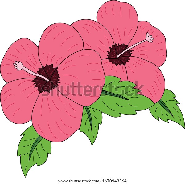 Simple Hibiscus Flower Vector Image Stock Vector (Royalty Free ...