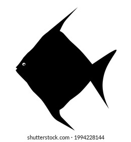 Pomfret Stock Vectors, Images & Vector Art | Shutterstock