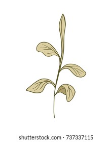 Simple Leaf Vector Illustration Isolated On Stock Vector (Royalty Free ...