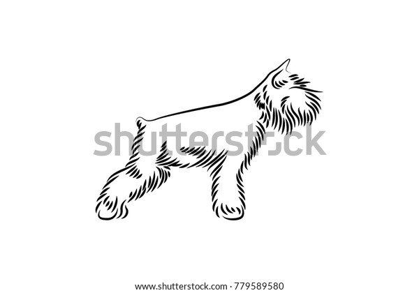 Simple Line Art Mini Schnauzer Dog Stock Vector (Royalty Free ...