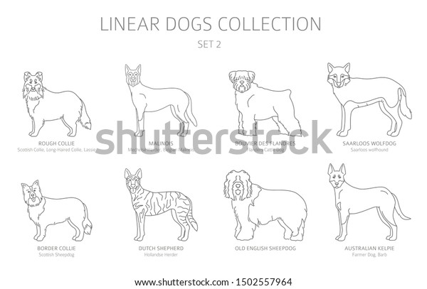 Simple Line Dogs Collection Isolated On Stock Vector (Royalty Free ...
