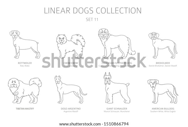 Simple Line Dogs Collection Isolated On Stock Vector (Royalty Free ...