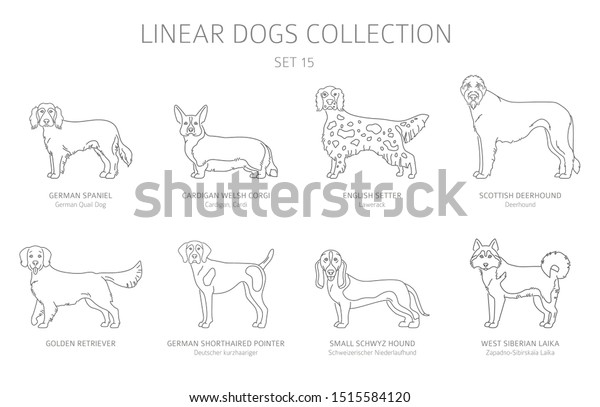 Simple Line Dogs Collection Isolated On Stock Vector (Royalty Free ...