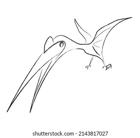 Simple Line Drawing Dinosaur Stock Vector (Royalty Free) 2143817027 ...