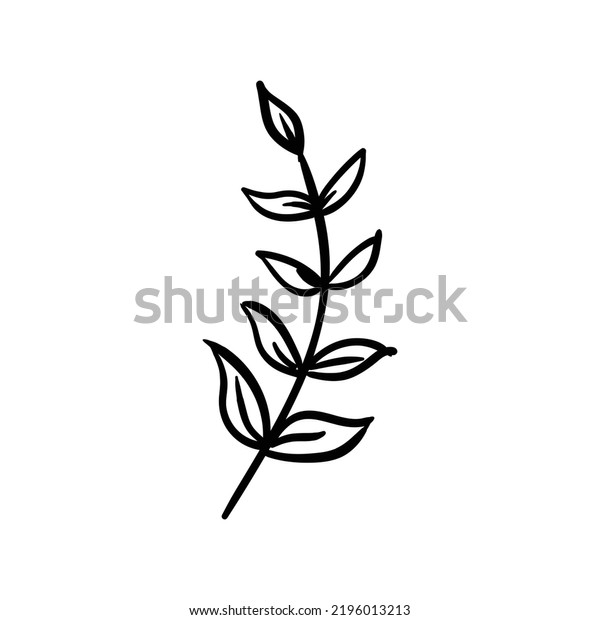 Simple Line Drawing Flowers Leaves Vector Stock Vector (Royalty Free ...
