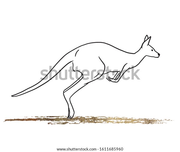 Simple Line Drawing Illustration Kangaroo Stock Vector (Royalty Free ...