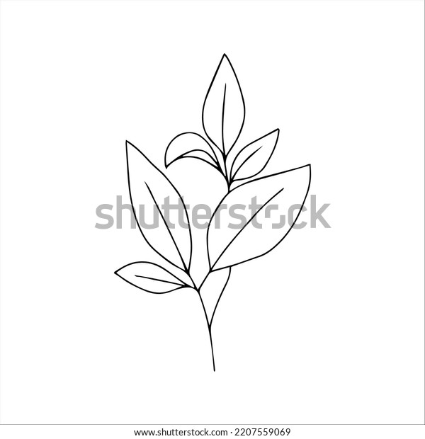 Simple One Line Drawing Branch Leaves Stock Vector (Royalty Free ...