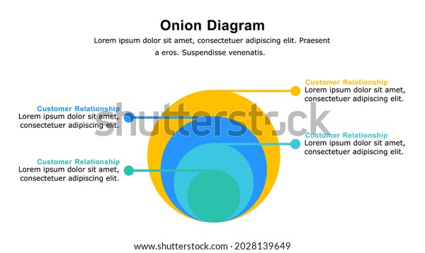 Simple Onion Diagram Infographic Flat Style Stock Vector (Royalty Free ...