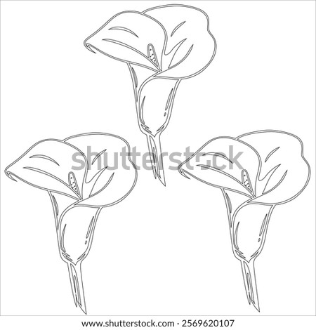 Simple Calla Lily Drawing | Free download on ClipArtMag