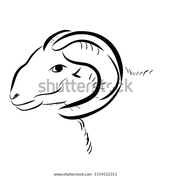 Simple Outline Sketch Goat Head Isolated Stock Vector (Royalty Free ...