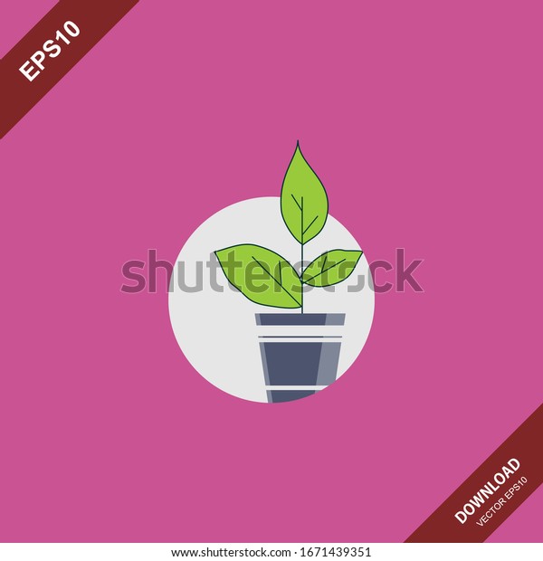 Simple Plant Illustration Concept Vector Design Stock Vector (Royalty ...