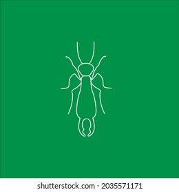 Simple Sketch Earwig Green Background Stock Vector (Royalty Free ...