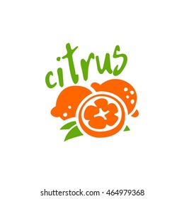 Simple Stylized Sign Citrus Stock Vector (Royalty Free) 464979368 ...