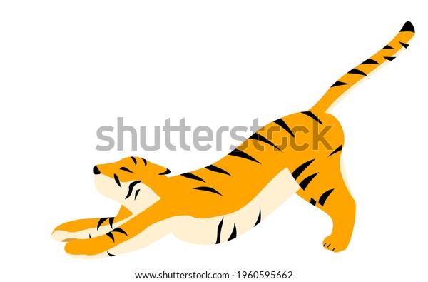 Simple Tiger Pose Illustration Stretching Stock Vector (Royalty Free ...