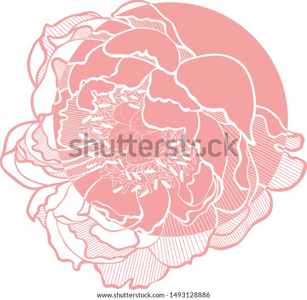 Simple Vector Clip Art Peony Flower Stock Vector (Royalty Free ...