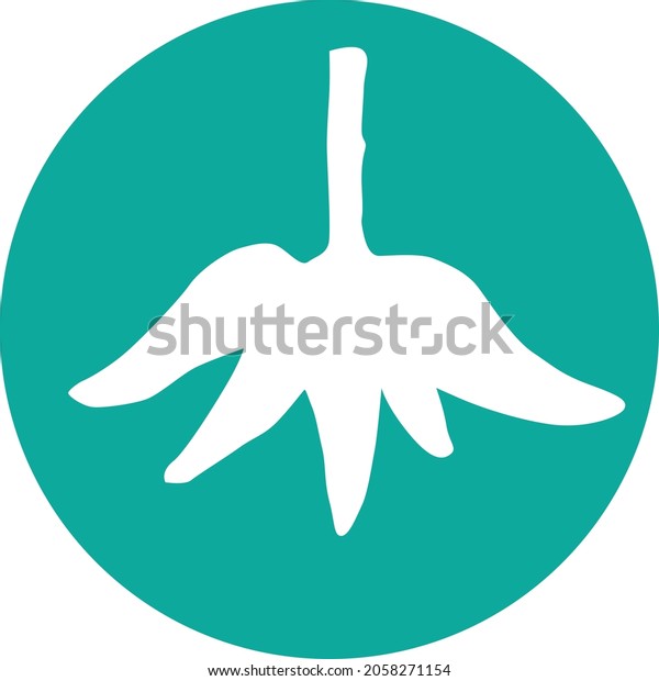 Simple Vector Design Cassava Plant Stock Vector (Royalty Free ...