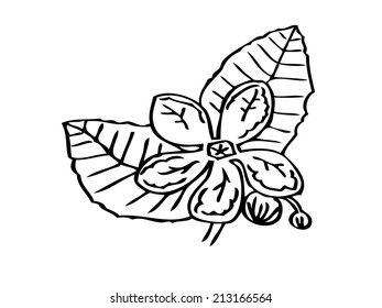 Simpor Flower Stock Illustration 212296741 | Shutterstock