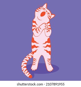 3,314 Cat begging Images, Stock Photos & Vectors | Shutterstock