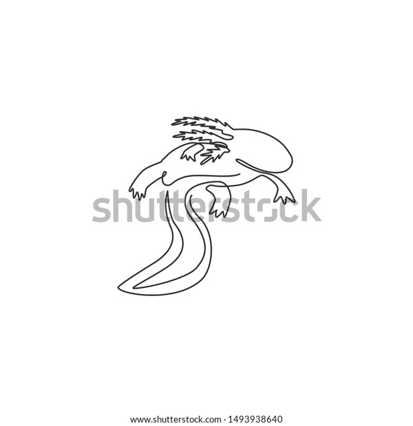 Single Continuous Line Drawing Beauty Axolotl Stock Vector (Royalty ...