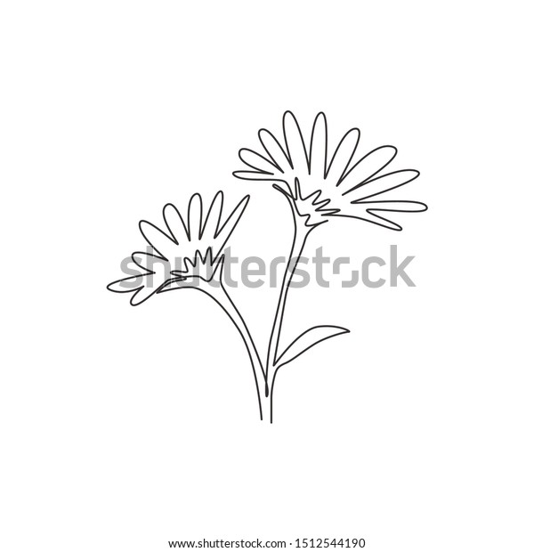Single Continuous Line Drawing Beauty Fresh Stock Vector Royalty Free