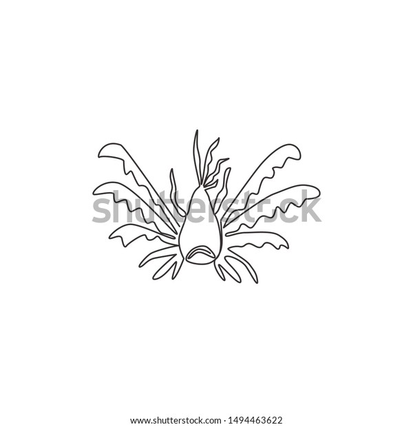 Single Continuous Line Drawing Exotic Stripped Stock Vector (Royalty ...