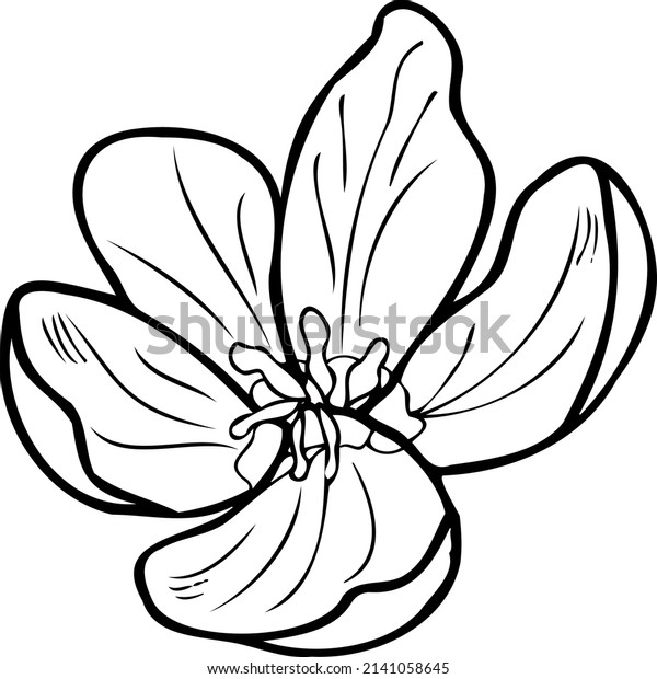 Single Flower Vector Illustration Stock Vector Royalty Free