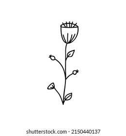 Single Hand Drawn Flower Doodles Vector Stock Vector (Royalty Free ...