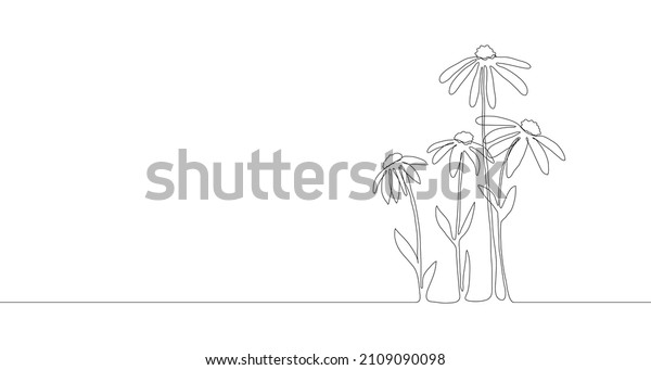 Single Line Drawingconeflowers Vector Illustration Doodle: เวกเตอร์ ...