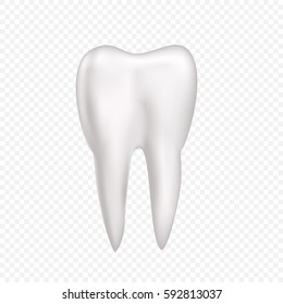 27,064 Teeth transparent Images, Stock Photos & Vectors | Shutterstock