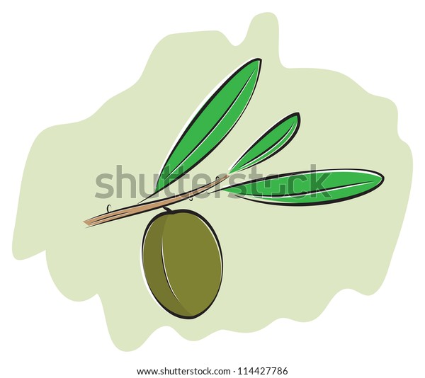 Single Olive On Branch Leaves Vector 库存矢量图（免版税）114427786 | Shutterstock