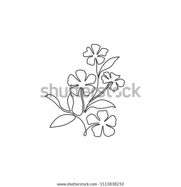 Single One Line Drawing Beauty Fresh Stock Vector Royalty Free 1513838210