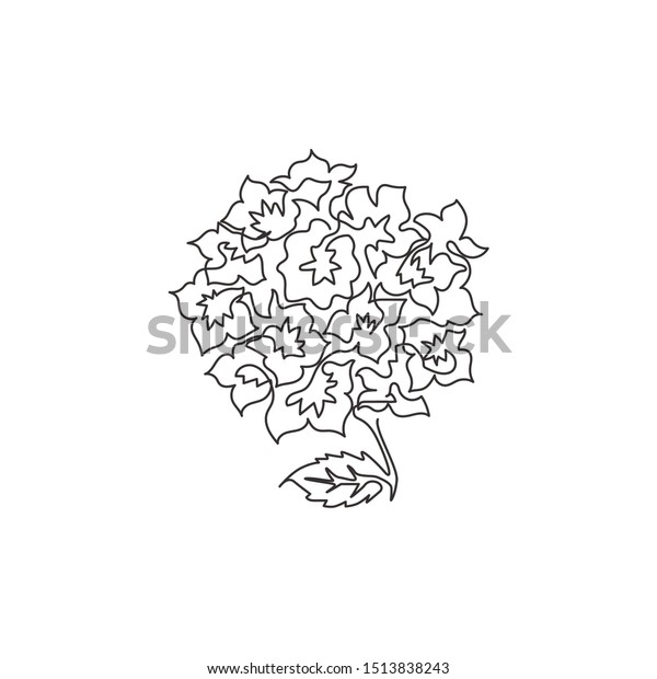 Single one line drawing beauty fresh lantana for home wall decor art ...