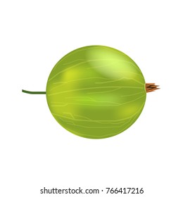 119 Amla tree Stock Illustrations, Images & Vectors | Shutterstock