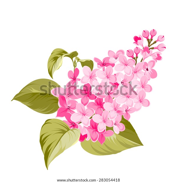 Single Syringa Flower Romantic Background Vector Stock Vector (Royalty ...