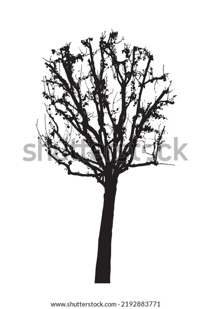 Single Tree Silhouette Isolated On White Stock Vector (Royalty Free ...