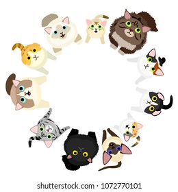 3,216 Cat circle frame Images, Stock Photos & Vectors | Shutterstock