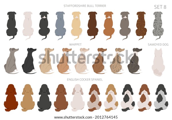 8 English Chart Whippet Images, Stock Photos & Vectors | Shutterstock