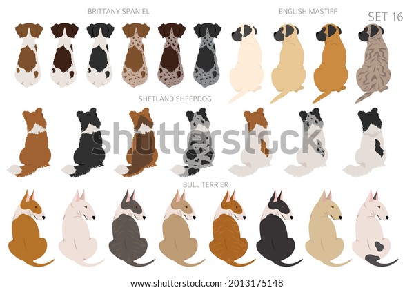 Sitting Dogs Backside Clipart Rear View Stock Vector (Royalty Free ...