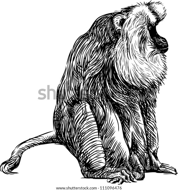 Sitting Monkey Stock Vector (Royalty Free) 111096476 | Shutterstock
