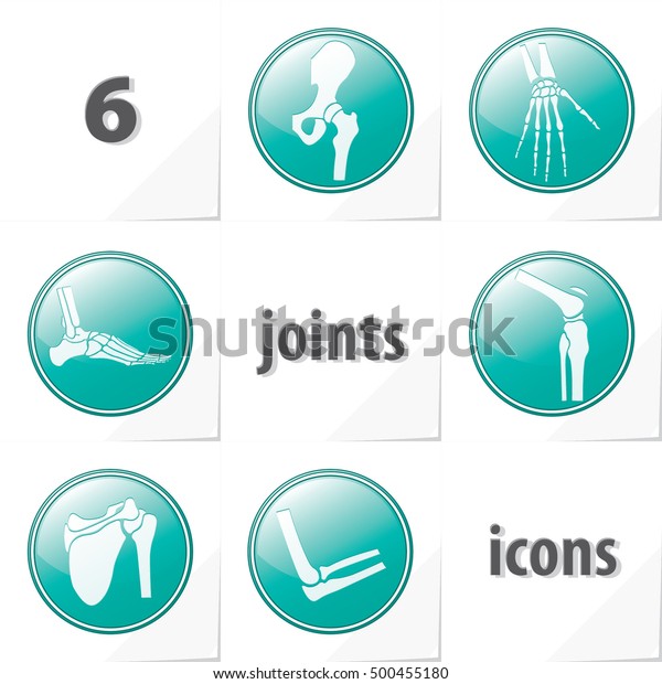 Six Human Joints Icons Ankle Elbow Stock Vector (Royalty Free) 500455180