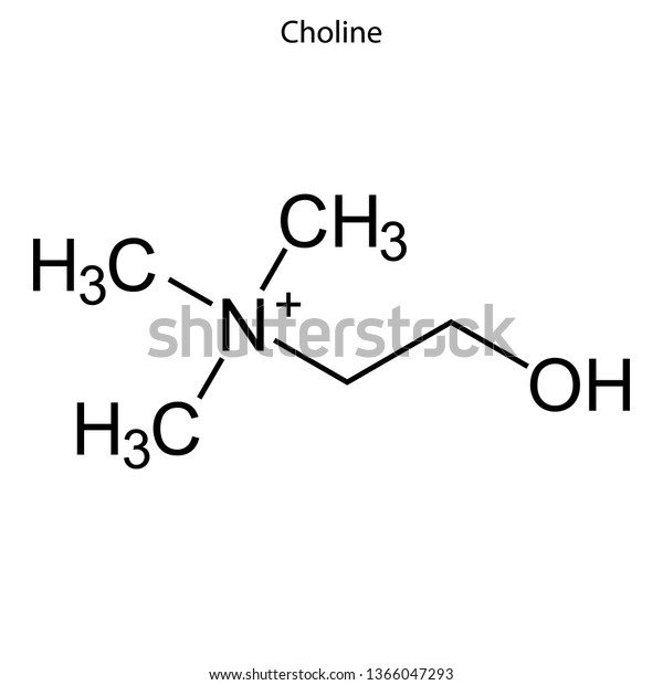 Skeletal Formula Choline Chemical Molecule Stock Vector (Royalty Free ...