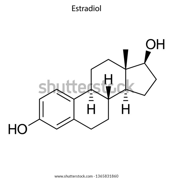Skeletal Formula Estradiol Hormone Molecule Stock Vector (Royalty Free ...