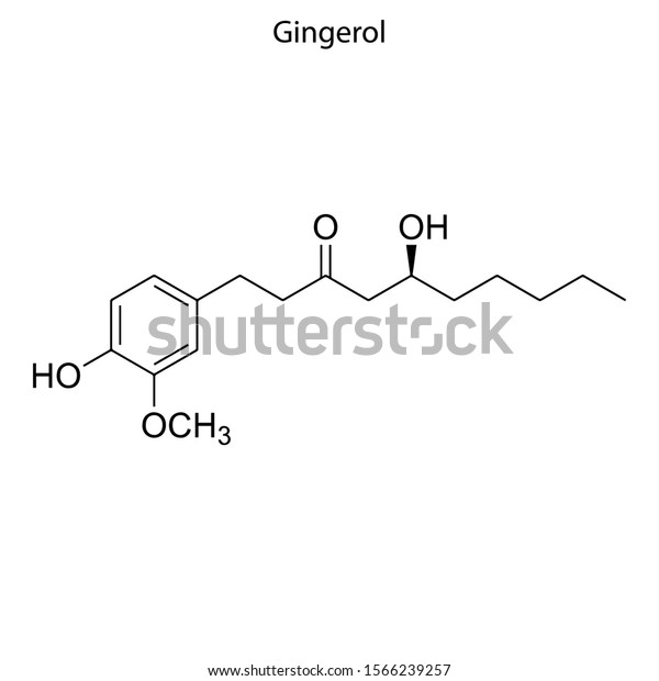 Skeletal Formula Gingerol Chemical Molecule 스톡 벡터(로열티 프리) 1566239257
