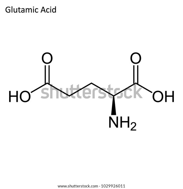 Skeletal Formula Glutamic Acid Amino Acid Stock Vector (Royalty Free ...