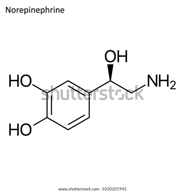 Skeletal Formula Norepinephrine Stimulant Molecule Stock Vector ...