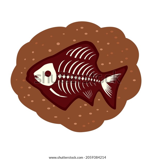 Skeleton Ancient Fish Fossilized Fish Bones Stock Vector (Royalty Free ...