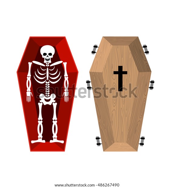 Skeleton Coffin Open Casket Skull Bones Stock Vector (Royalty Free ...