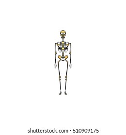 Vektor Stok Skeleton Gold Vector Icon Black Contour (Tanpa Royalti ...